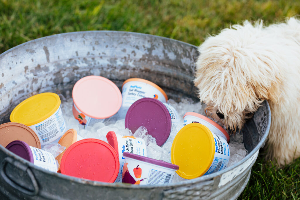Pet Hydration Awareness Month | PetPlate